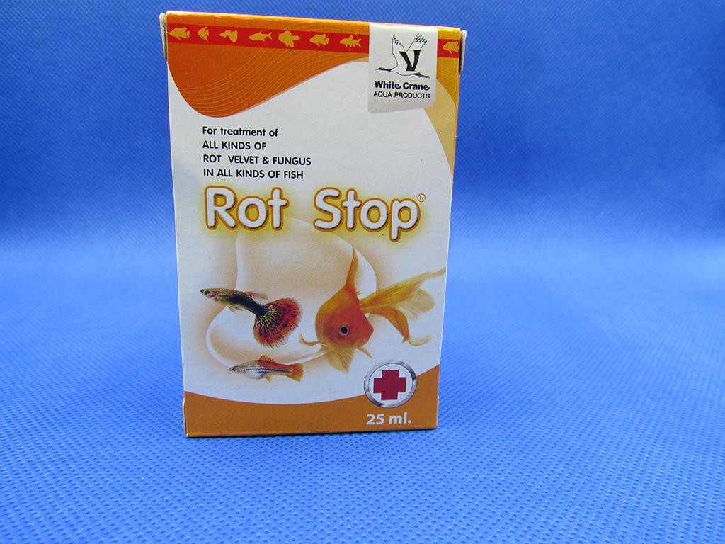 Rot Stop อาการที่เกิดจาก เชื้อรา เน่าเปื่อย เหงือกเน่า ยารักษาปลาสวยงาม ...