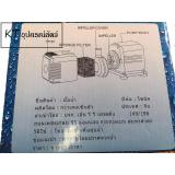 Sonic AP-5000 ปั๊มน้ำขนาดใหญ่ | Ninekaow.com