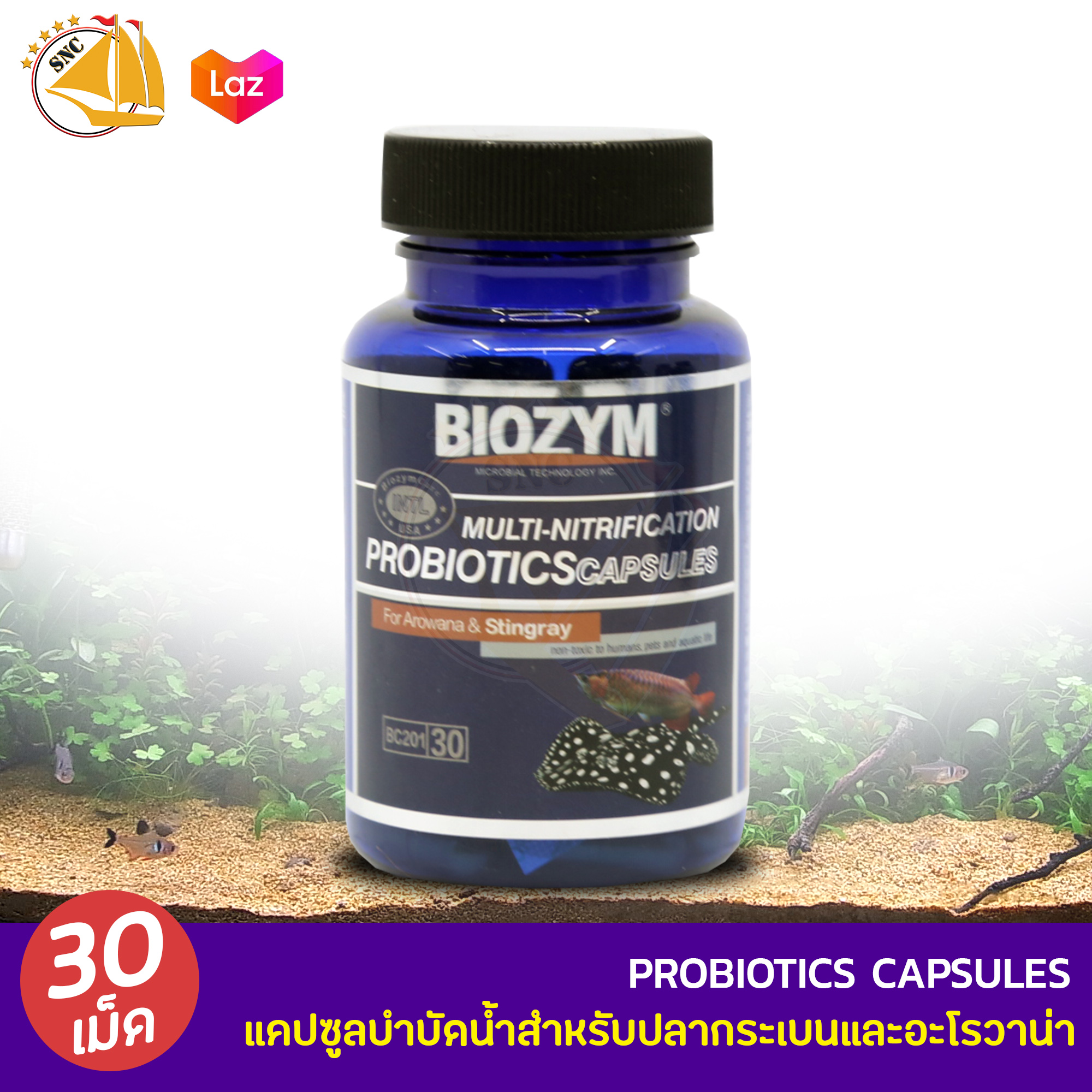 BIOZYM Probiotic Capsules For Arowana & Stingray แคปซูลบำบัดน้ำ สำหรับ ...