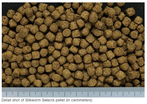 Hikari - Silkworm Selects อาหารปลาคาร์ฟ ฮิคาริ หนอนไหม เม็ดกลาง สูตรเร่งโต size M (500g ...