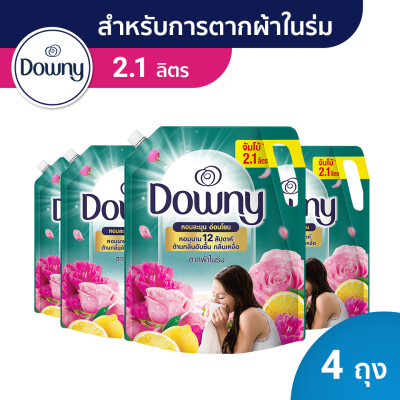 [แพคสุดคุ้ม] ดาวน์นี่ น้ำยาปรับผ้านุ่มสูตรเข้มข้น ถุงเติม หอมติดทนนาน 2 ...