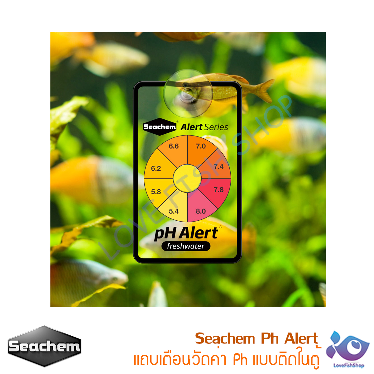 แถบเตือนวัดค่าพีเอช Seachem pH Alert ราคา 549 บาท | Ninekaow.com