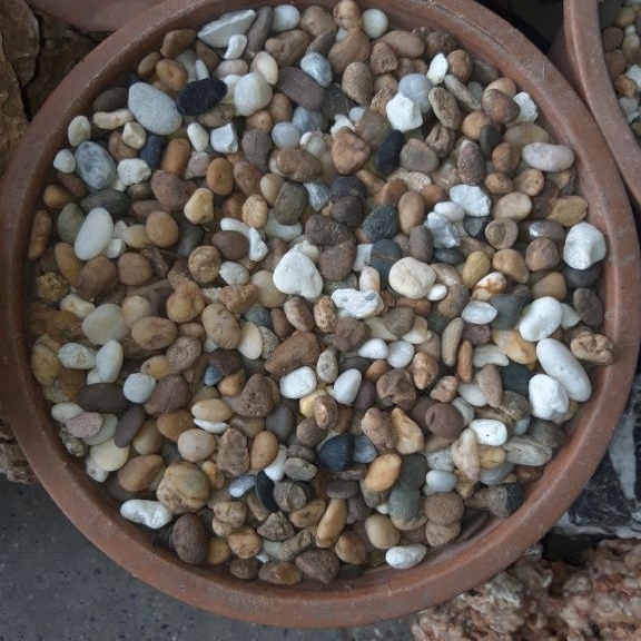 หินใช้ลองปูพื้นตู้ปลา ตกแต่งตู้ปลา จัดตู้ปลา ขนาด1 กิโล | Ninekaow.com