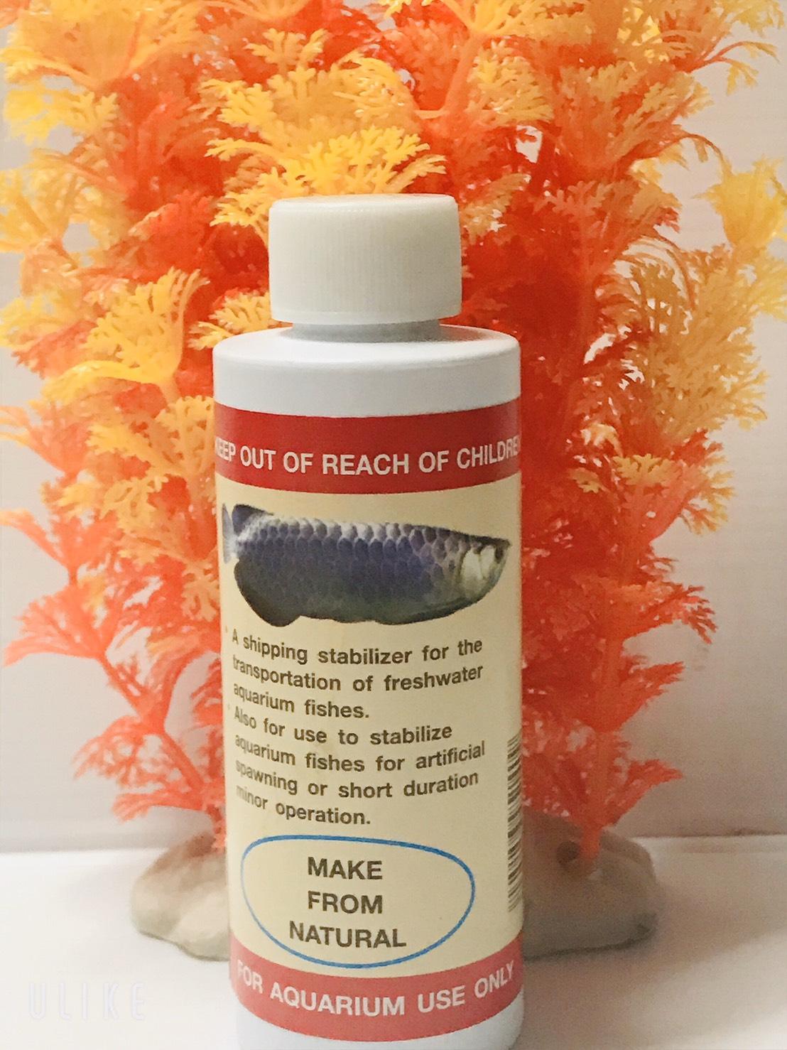 ยาสลบสมุนไพร(กานพลู) ใช้เพื่อรักษาปลา 100ml | Ninekaow.com